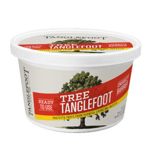 Tangle-Trap Sticky Coating | Tanglefoot